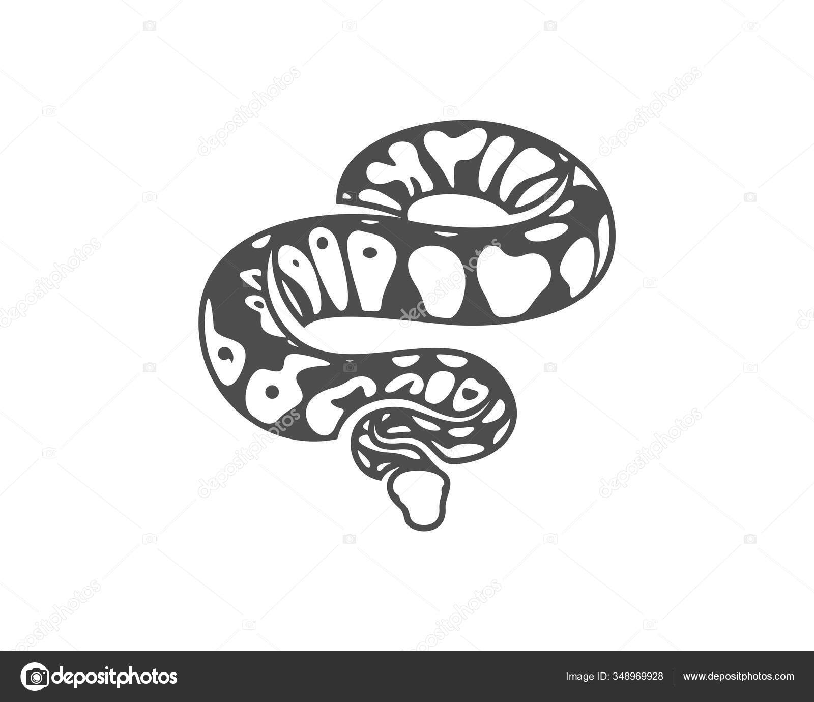 Python Serpiente Logo Vector Animal Gráfico Serpiente Diseño Plantilla ...