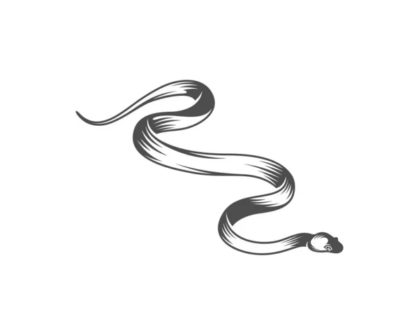 Python Snake Logo Vector Animal Graphic Snake Design Template ...