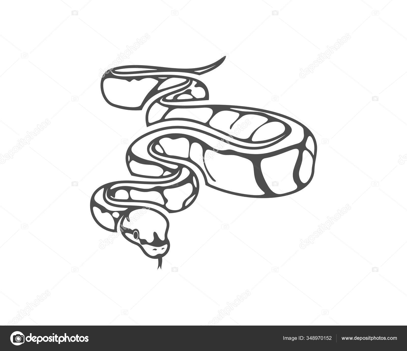 Python Snake Logo Vector Animal Graphic Snake Design Template ...