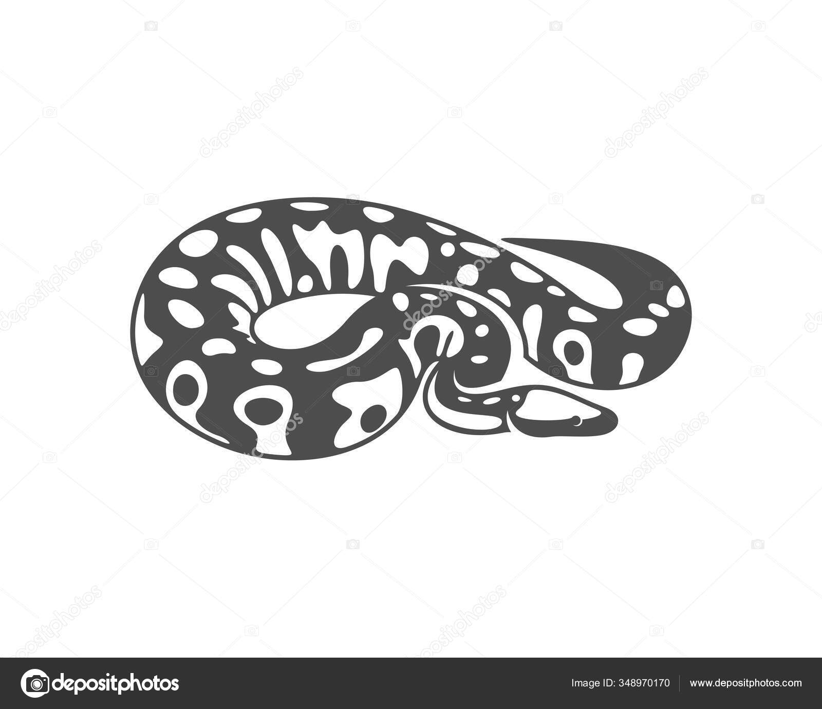 Python Snake Silhouette