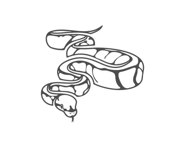 24,559,041 Ball python Vector Images | Depositphotos