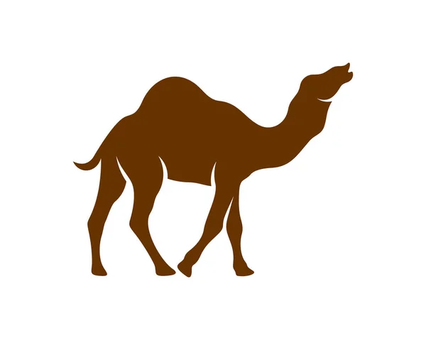 100,000 Camel cartoon Vector Images | Depositphotos