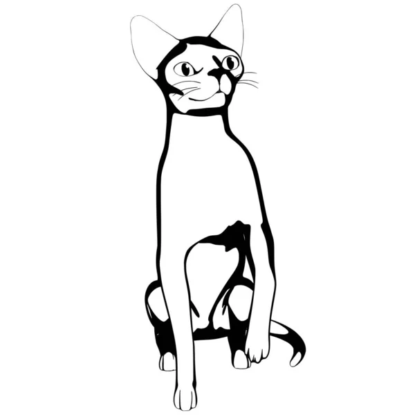 Grafika wektorowa Gatto disegno a corpo intero, Gatto disegno a corpo ...