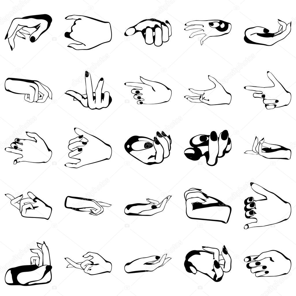 Manos Femeninas Con Manicura Conjunto Vectorial De Hermosas Manos De Mujer Aisladas Sobre Fondo