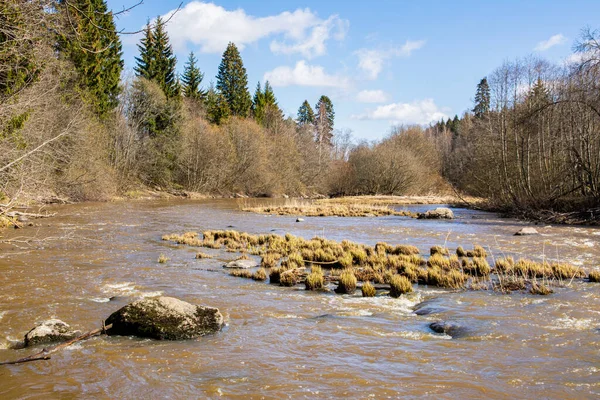 Vantaa Stock Photos, Royalty Free Vantaa Images | Depositphotos