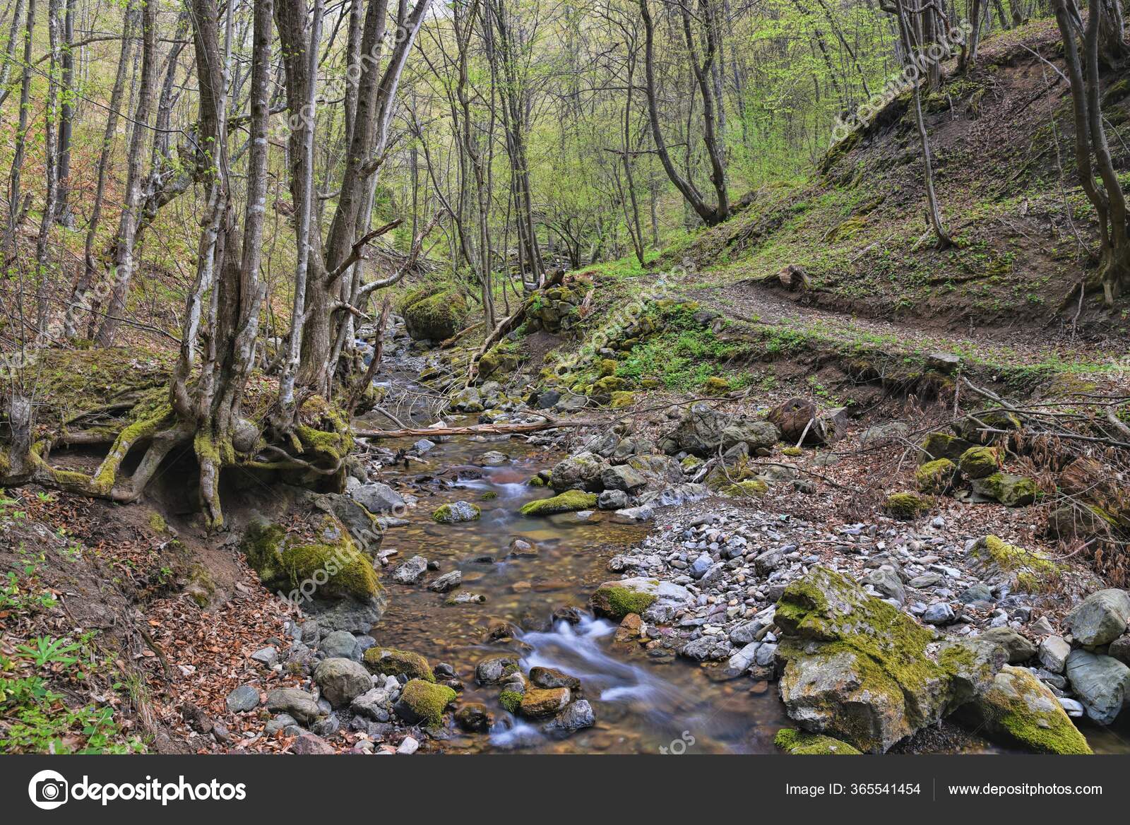 Hdr Landscape Photography River Wild — Stock Photo © BetiBup33 #365541454
