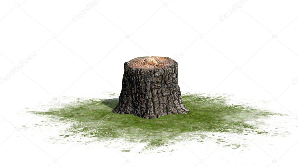 Tree stump - on white background — Stock Photo © bestofgreenscreen ...