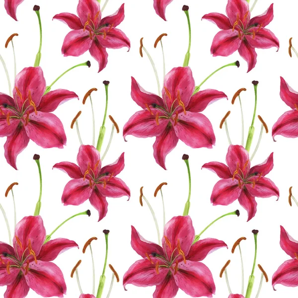 Stargazer lily, Royalty-free Stargazer lily Vector Images & Drawings ...