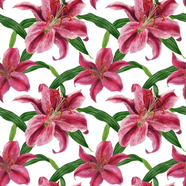 Stargazer lily, Royalty-free Stargazer lily Vector Images & Drawings ...