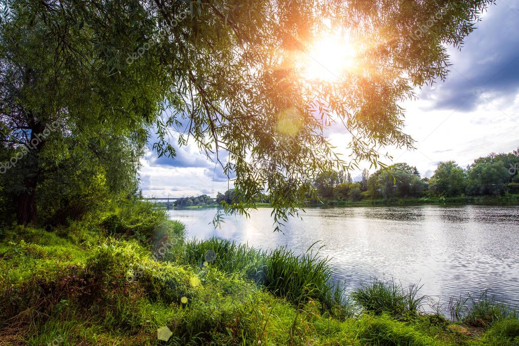 Beautiful Nature Summer — Stock Photo © NikolayBobkov #175299680