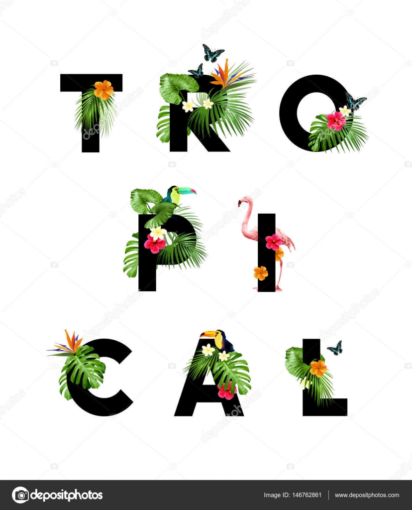 Tropical letters Vector Stock Vector by ©solarseven 146762861