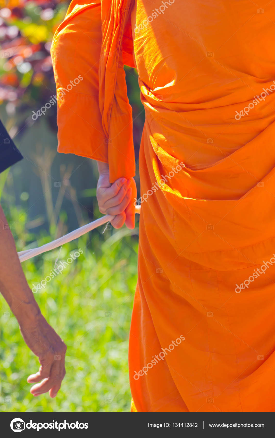 Closeup hand of Thai monk holding big rope leading people to the ...