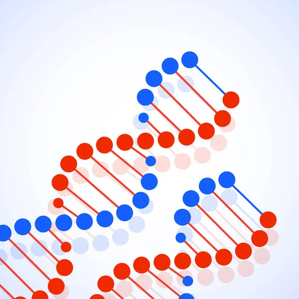 Dna strand Stock Vector Image by ©Helioshammer #25932541