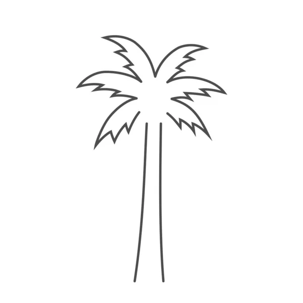 Dibujo lineal palmera imágenes de stock de arte vectorial | Depositphotos