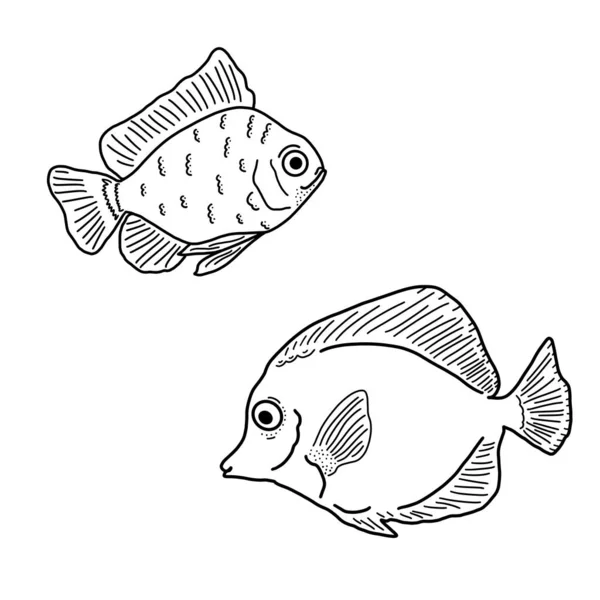 Hal rajzok Stock fotók, Hal rajzok Jogdíjmentes képek | Depositphotos