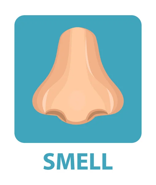 11,493,381 ilustraciones de stock de Sentido del olfato | Depositphotos