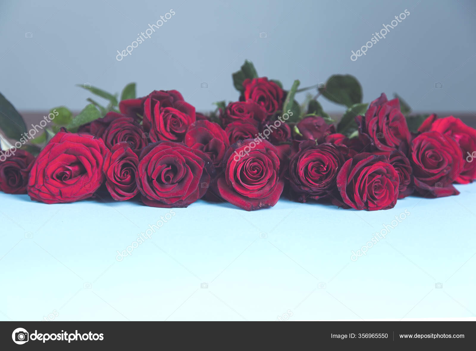 Bouquet Red Roses Desk Background Stock Photo by ©Aghavni 356965550