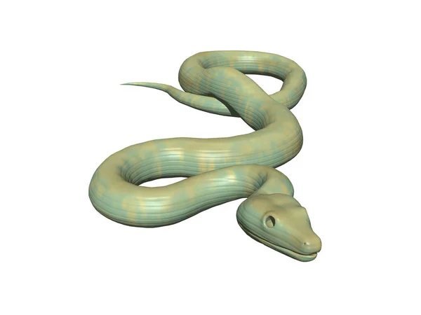 100,000 Python reticulatus Vector Images | Depositphotos