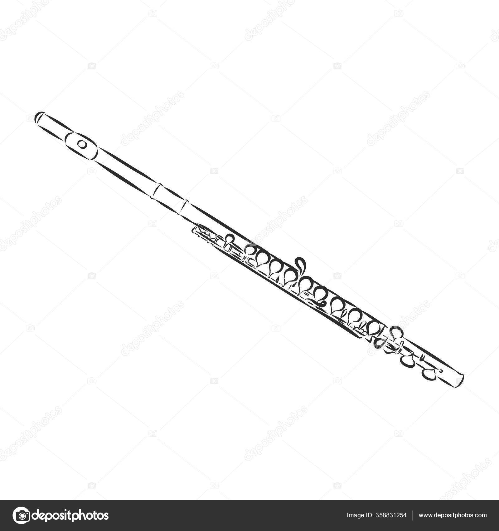 Illust Puxando Gravura Tinta Arte Linha Vetor Flauta Vetor de ...