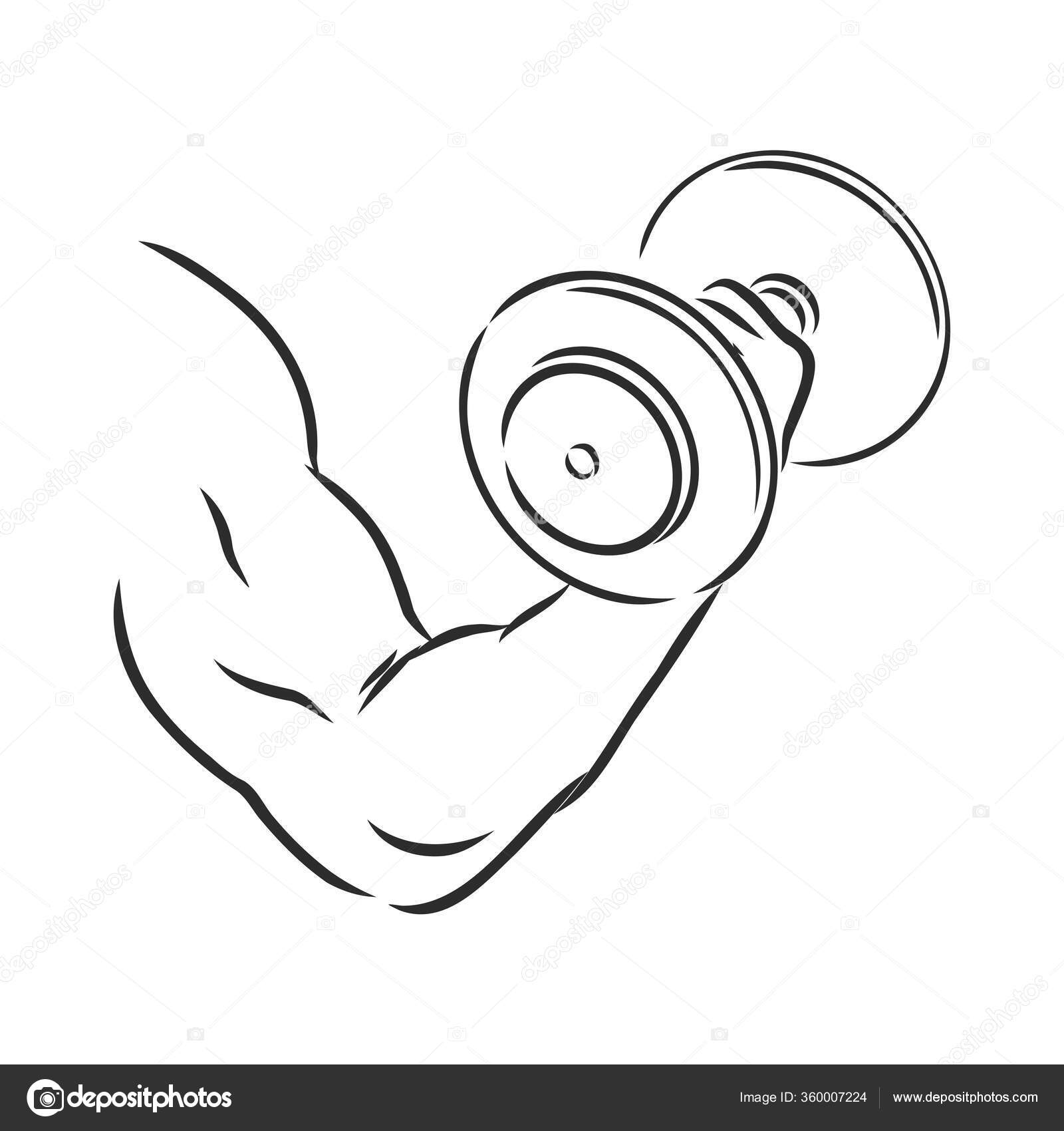 Bicep Curls Diagram 10 Best Bicep Curl Variations To Build Muscle In