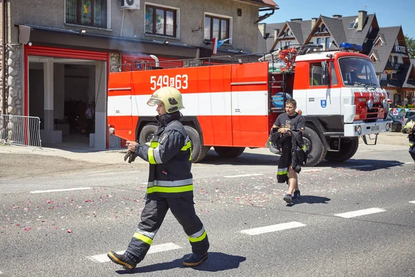 Deux pompiers en action Stock Photos, Royalty Free Deux pompiers en ...