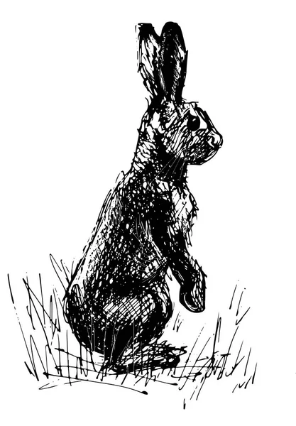 Wild Hog Line Art Vector Illustration — Stock Vector © ozherelyeva ...