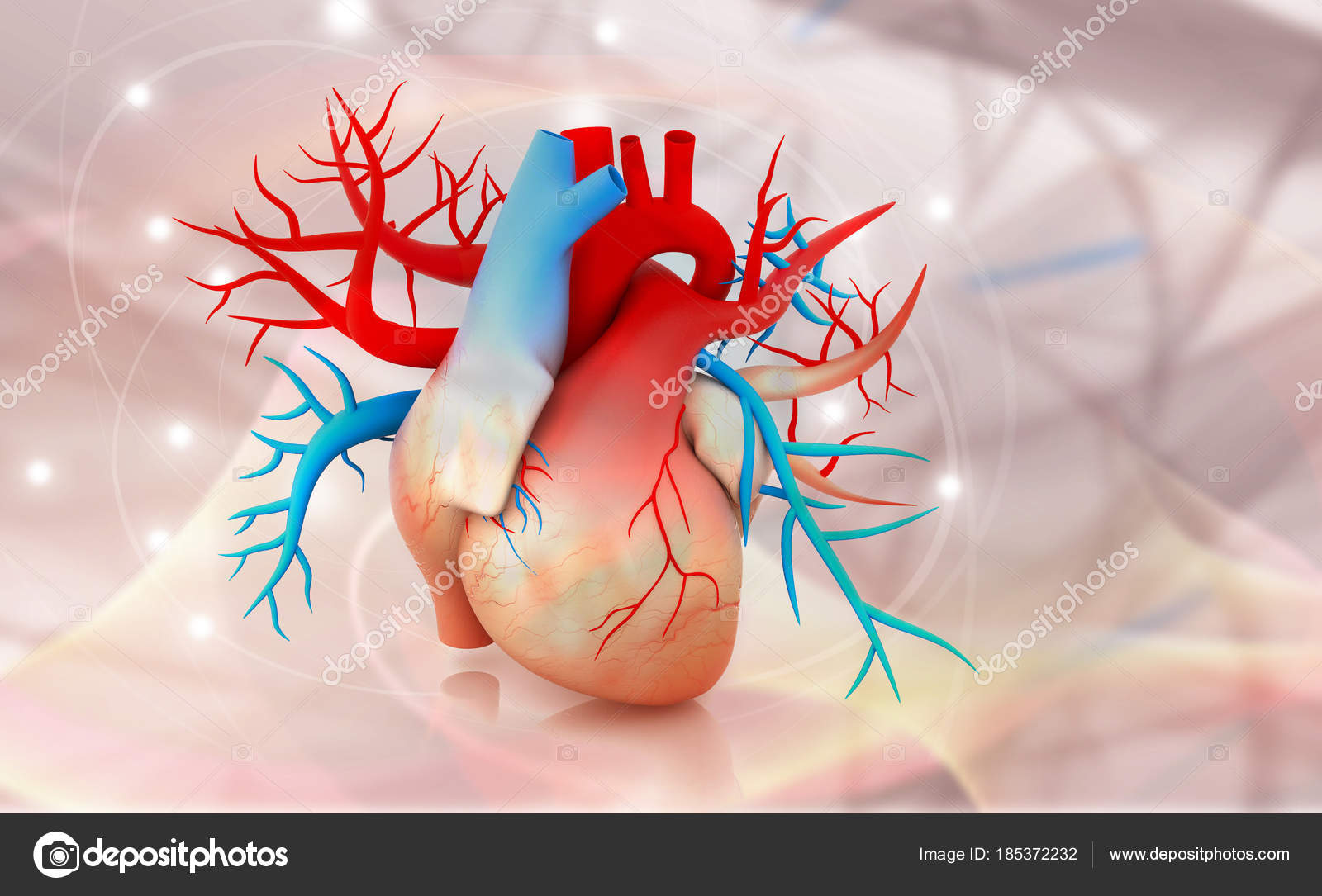 Abstract Human Heart