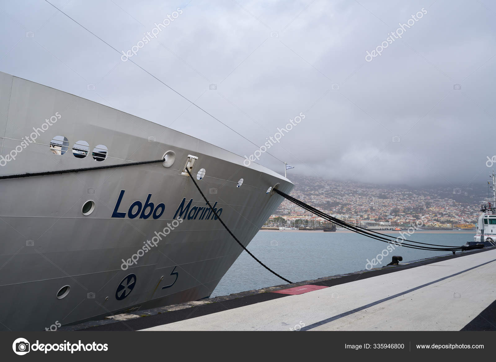 Lobo Marinho Cruise Vessel Boat Marina Funchal – Stock Editorial Photo ...