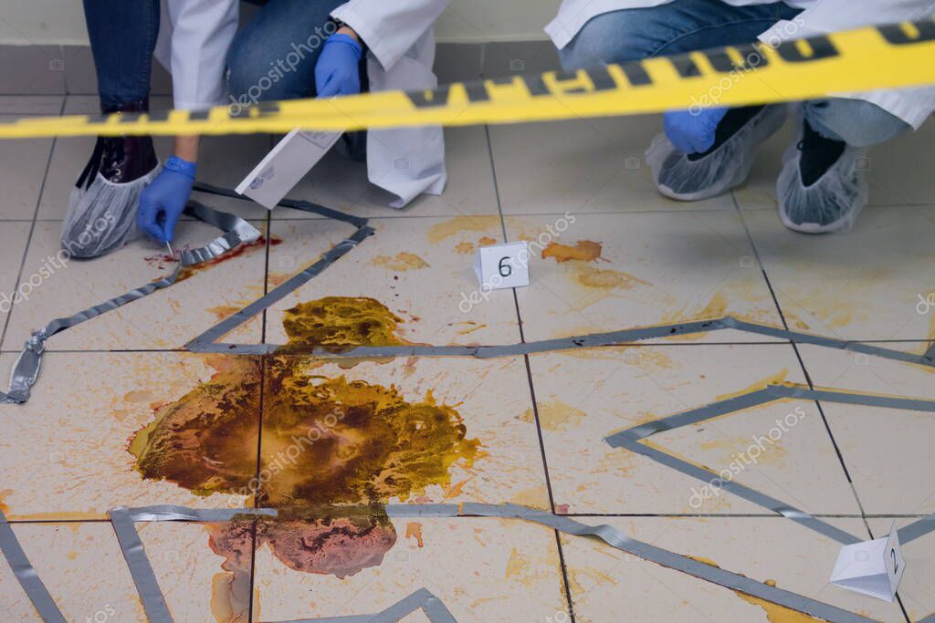 Técnicos forenses tomando muestras de ADN de manchas de sangre con ...