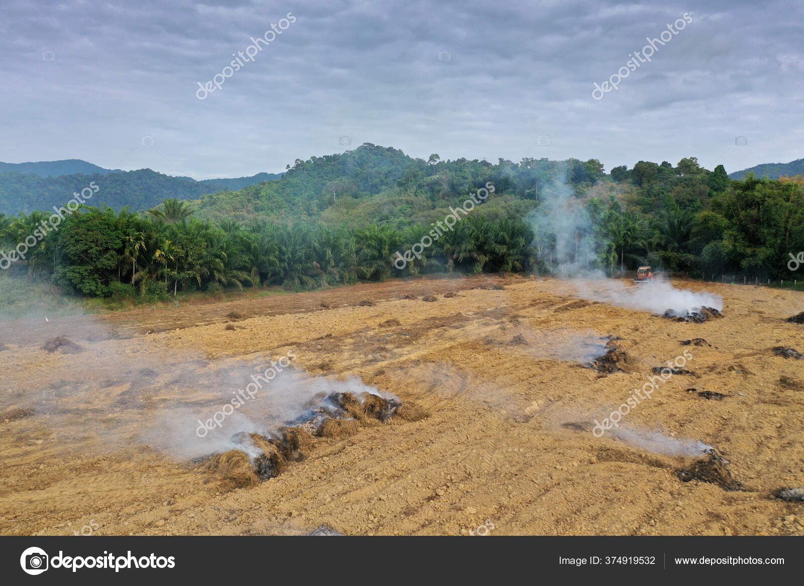 Deforestation Land Cleared Burned Make Way Palm Oil Plantation — Stock ...