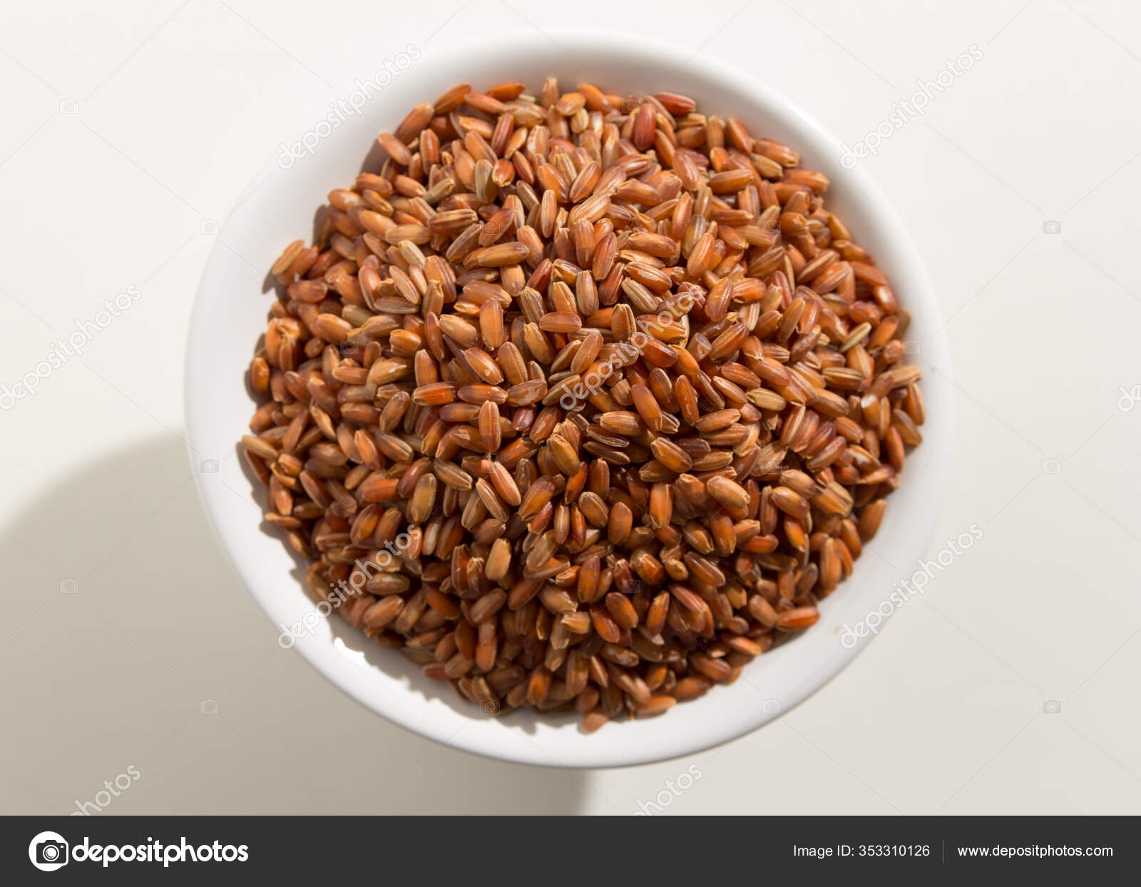 Oryza Sativa Scientific Name Bhutanese Red Rice Seed Also Known Stock ...