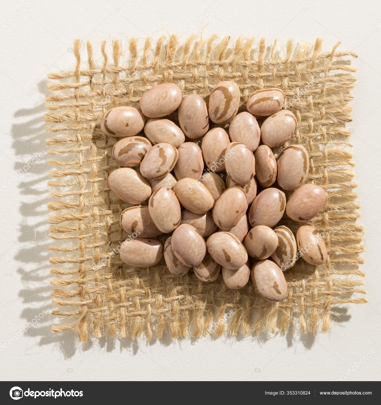 Phaseolus Vulgaris Scientific Name Pinto Bean Legume Also Known Frijol ...