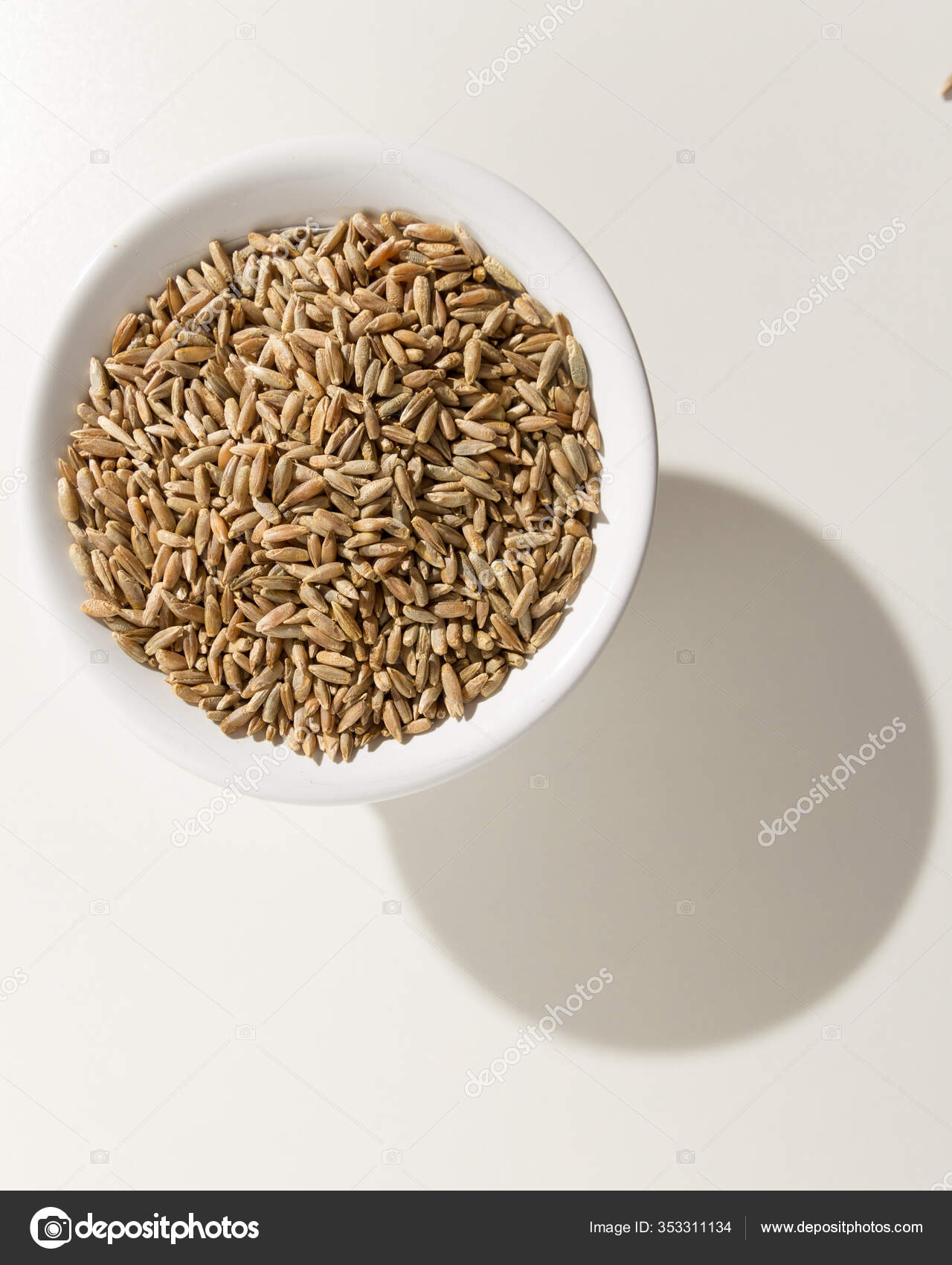 Secale Cereale Scientific Name Rye Cereal Grain Also Known Centeio ...