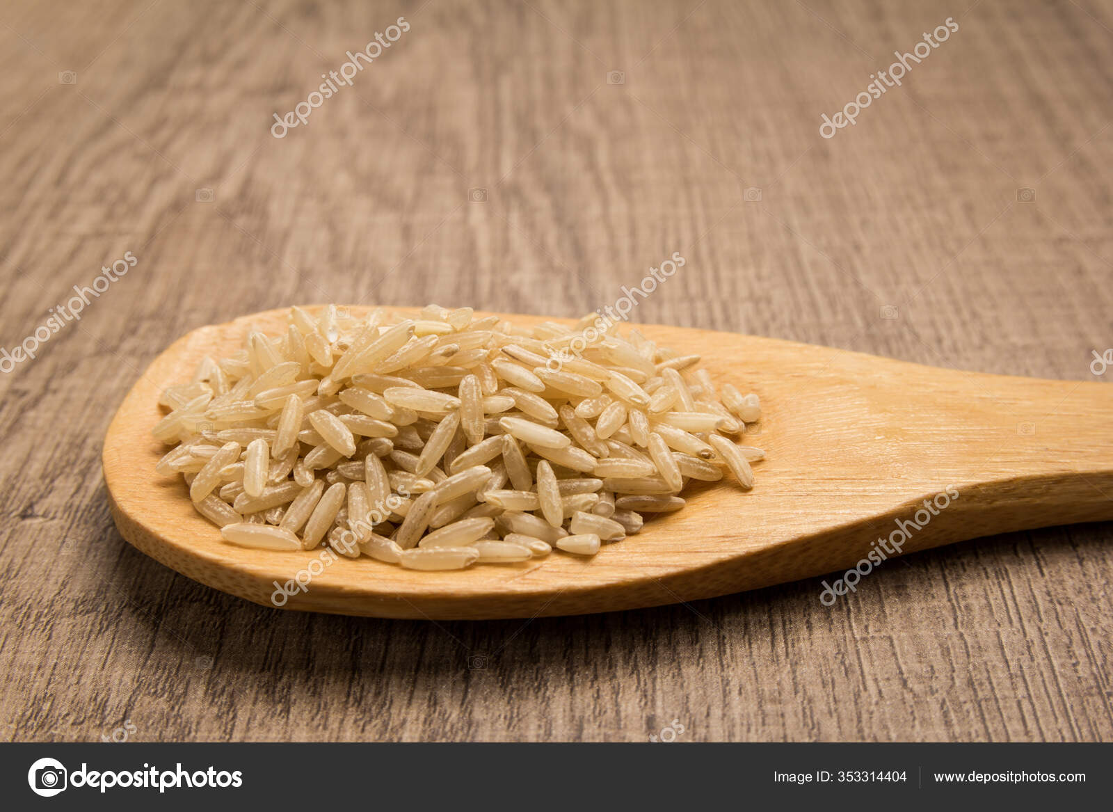 Oryza Sativa Scientific Name Whole Chinese Rice Seed Also Known — Stock ...