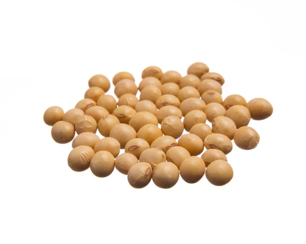 Navy bean seeds Stock Photos, Royalty Free Navy bean seeds Images ...