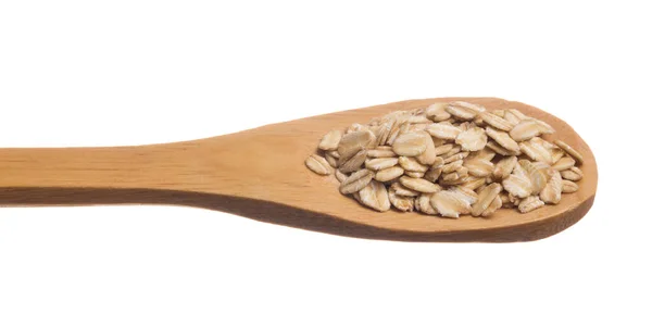 Triticum Aestivum Scientific Name Wheat Cereal Grain Also Known Trigo ...