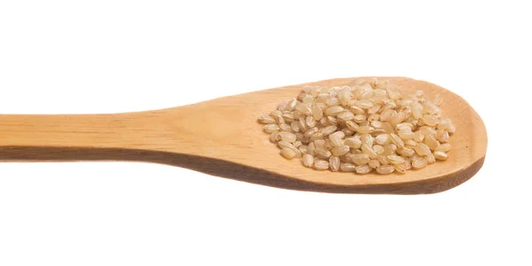 Oryza Sativa Est Nom Scientifique Graine Riz Chinoise Grains Sur ...