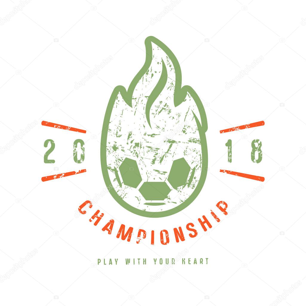 Emblema del campeonato de f tbol 2024