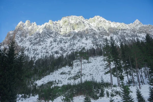 Green lake (Gruner see) in sunny winter day. Famous tourist destination ...