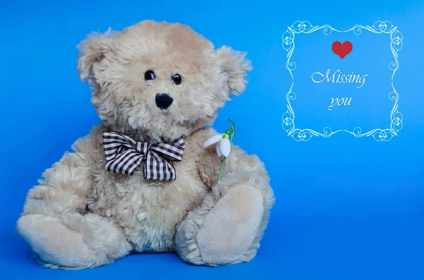 3d realistic blue teddy bear name smile written in golden cursive ...