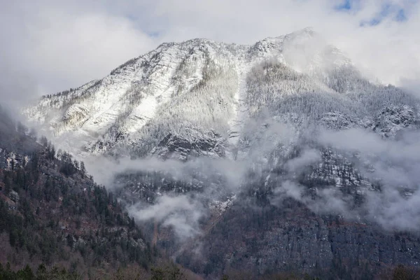 Detail of mountain face with rocks, snow and trees, in Styria region ...