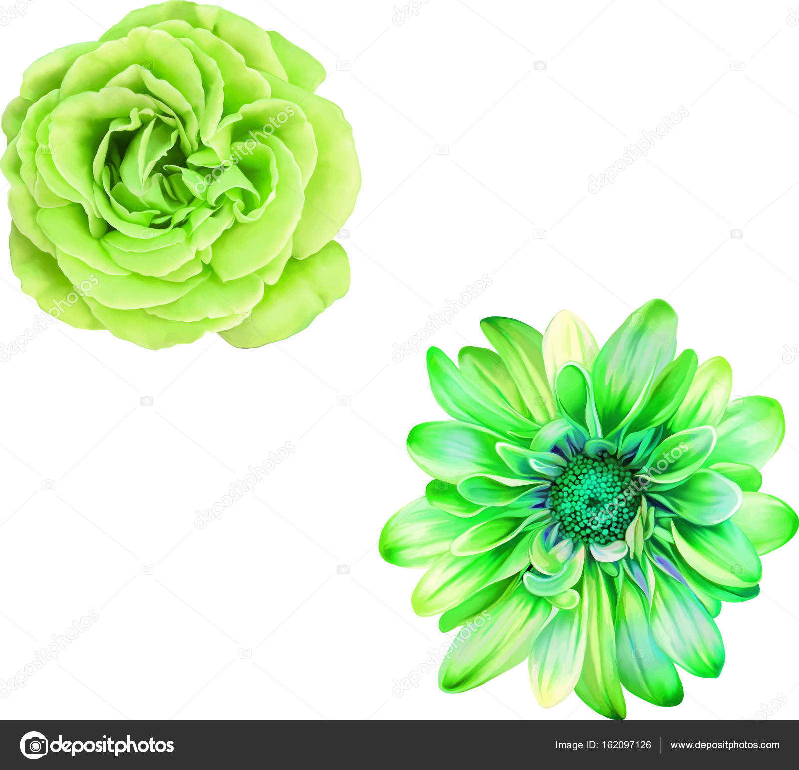 Beautiful flowers set — Stock Photo © artnature #162097126