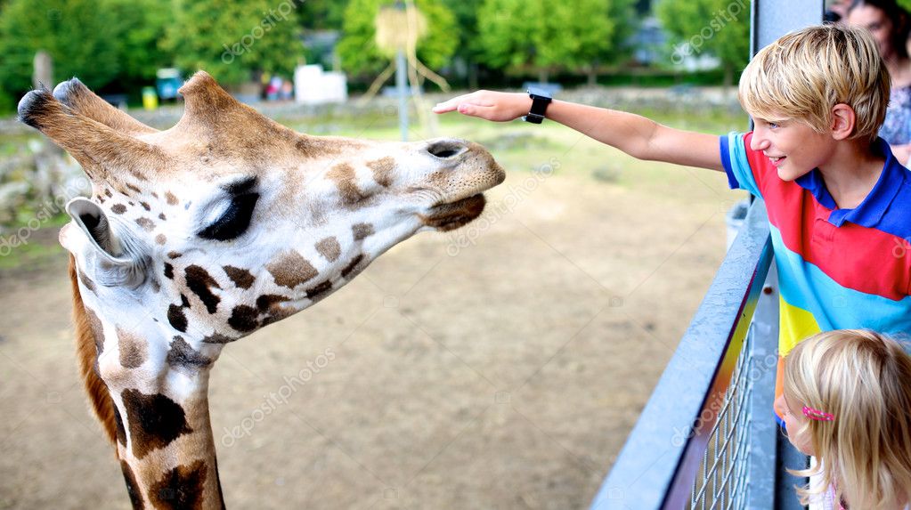 Family enjoying day at the zoo Stock Photo by ©CroMary 126834660