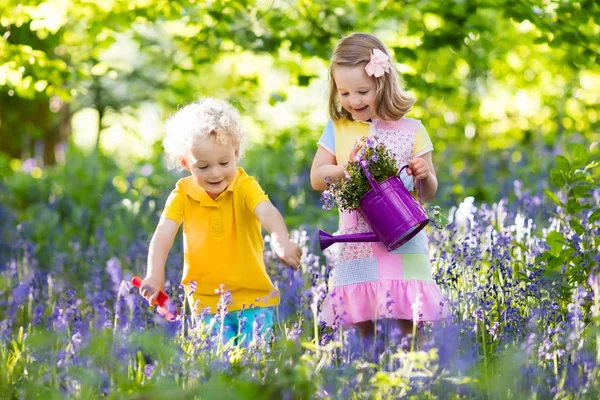 Kids playing spring Stock Photos, Royalty Free Kids playing spring ...