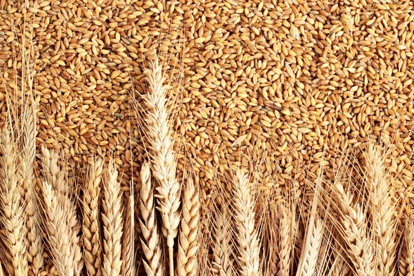 El centeno cocido sano fotos de stock, imágenes de El centeno cocido ...