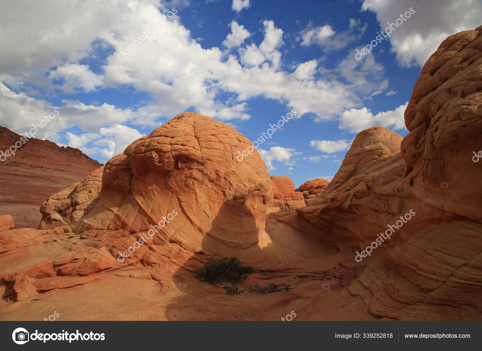 Rock formations in the North Coyote Buttes, part of the Vermilio Stock ...
