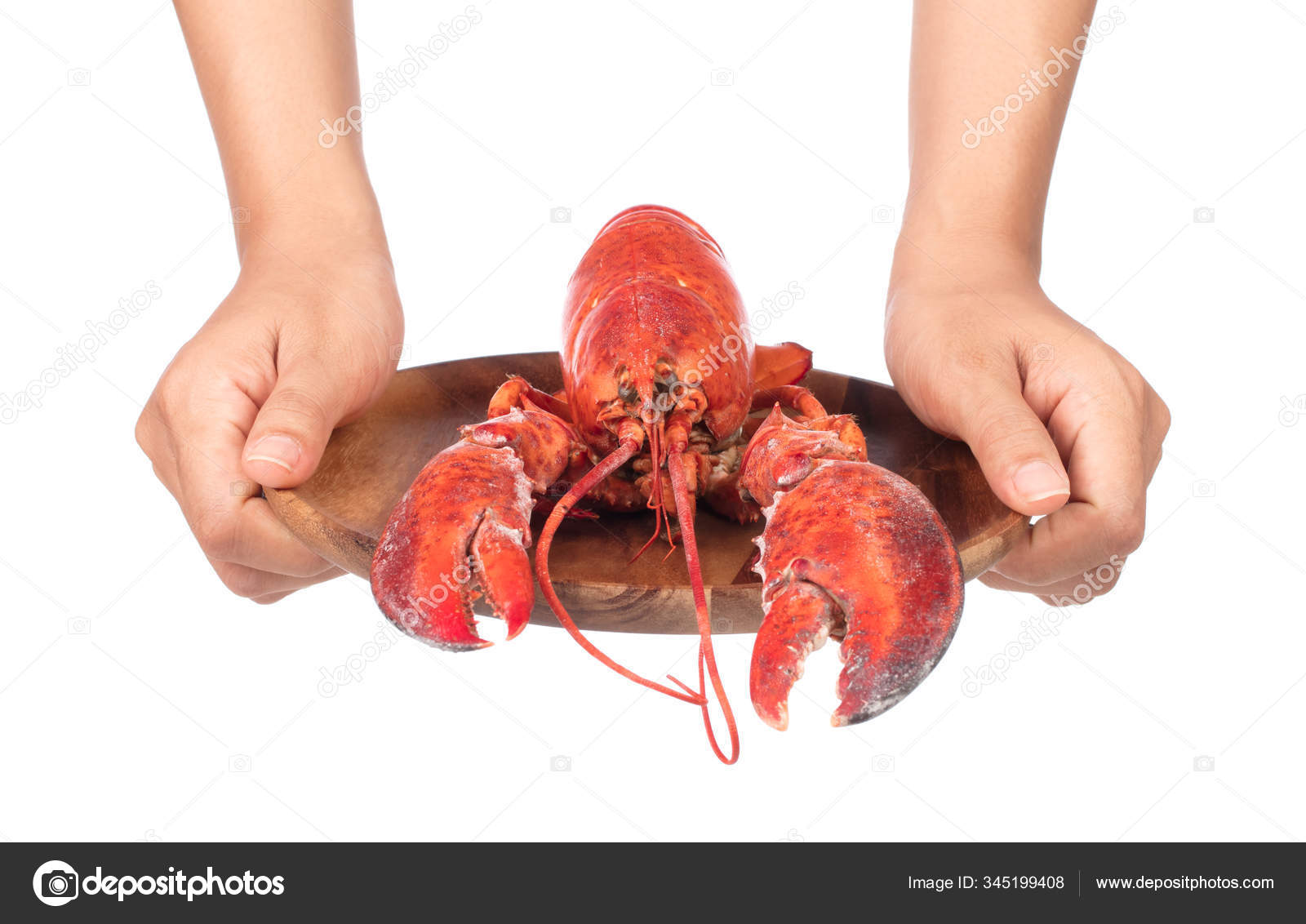 Hand holding Lobster on dish isolated on white background — Stock Photo ...