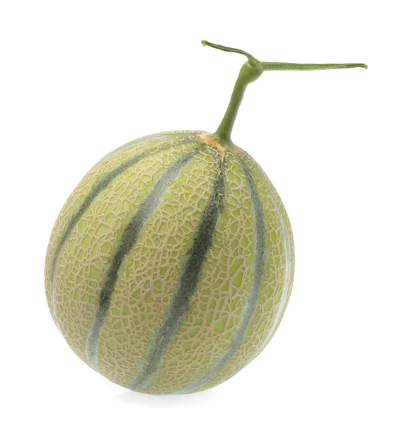 Melon hanging in tree Stock Photos, Royalty Free Melon hanging in tree ...