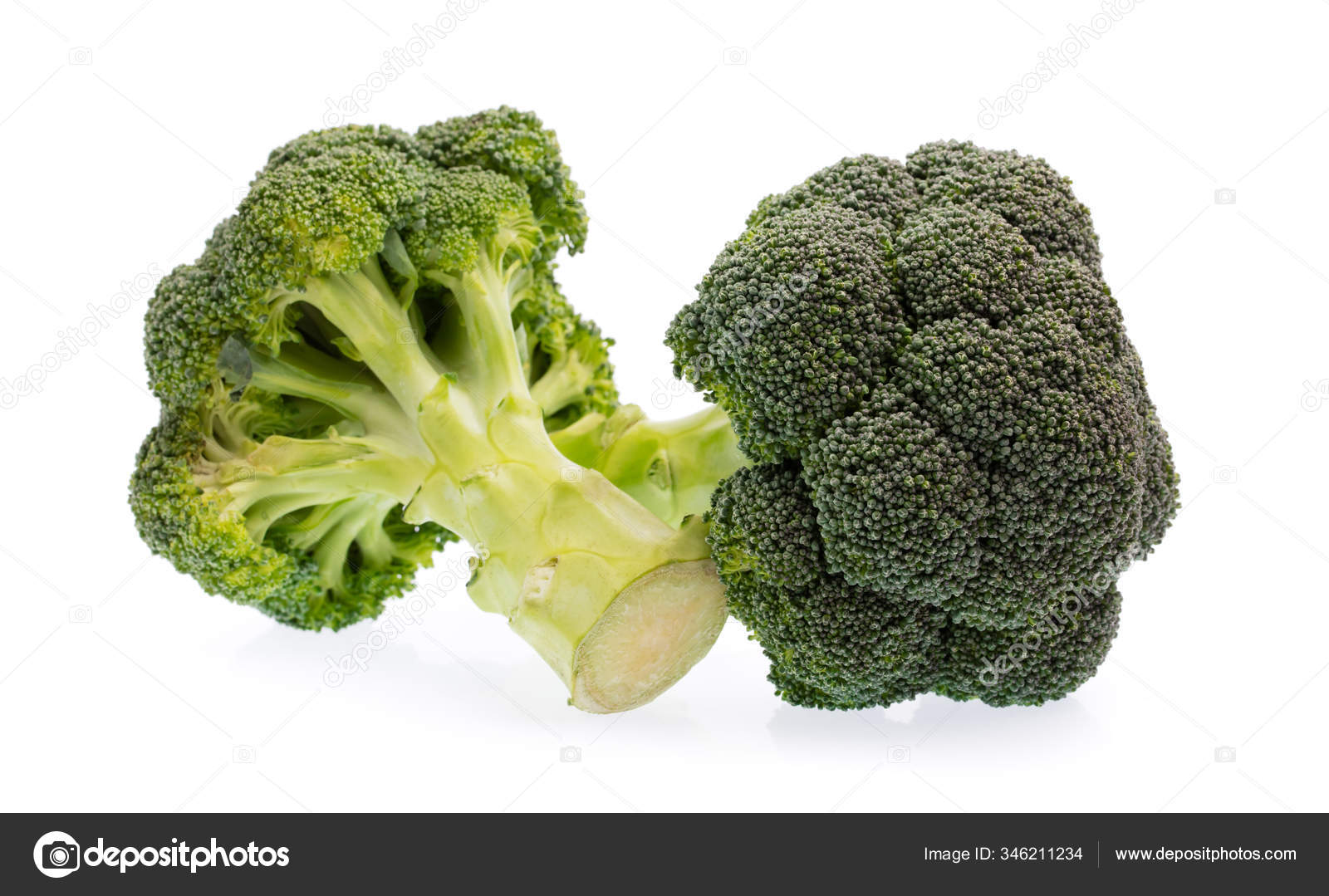 Broccoli Isolated White Background Stock Photo by ©Cloud7Days 346211234