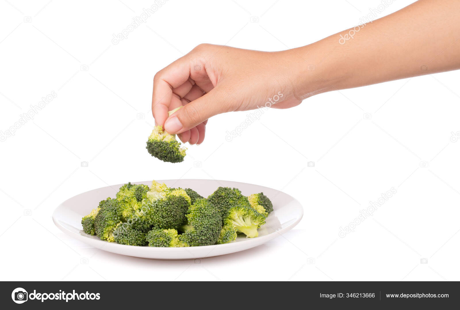Hand Holding Dish Broccoli Isolated White Background Stock Photo by ...
